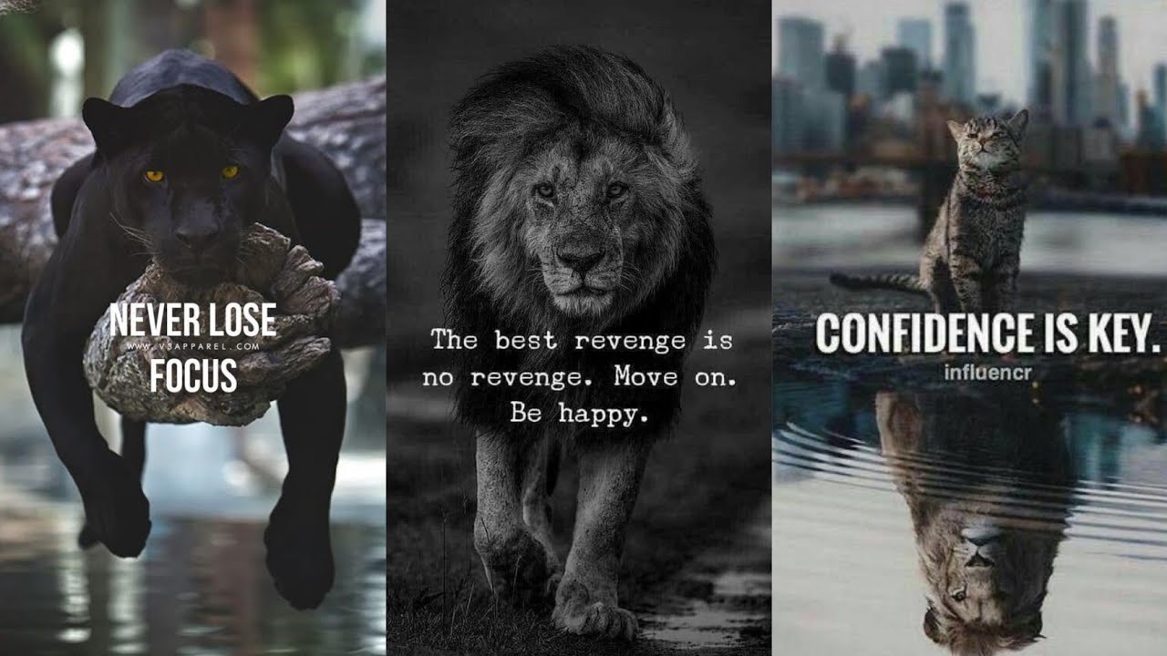 Motivational Quotes on TikTok #27 That Will Change Your Life 🗣️ - YouTube