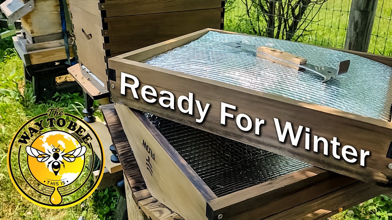 Flow Hive Modification for cold climates. Turn a brood box into a ...