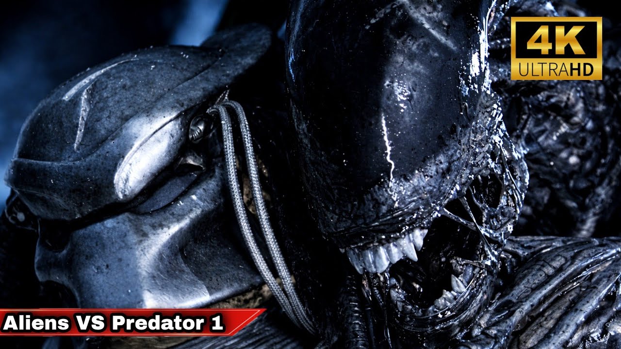 Predator Hunt Xenomorph - Alien VS Predator 2004 Full Movie Recap - YouTube