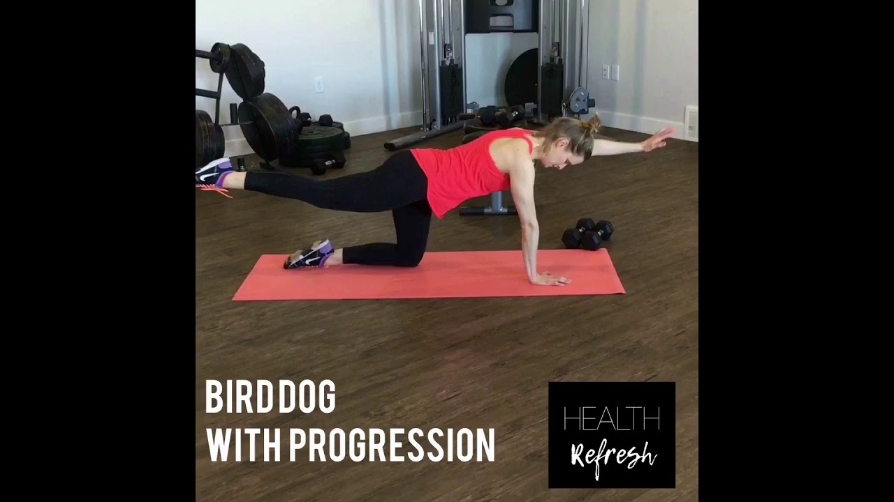 Bird Dog With Progression - YouTube