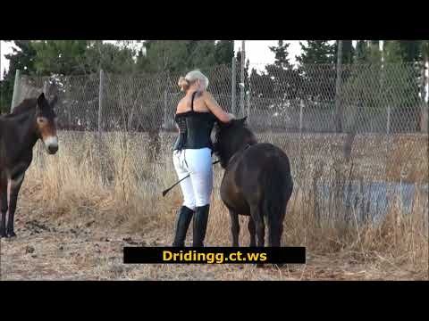 Pony Riding #ponyriding #donkeyriding  #esel #reiten #sheepriding #goatriding