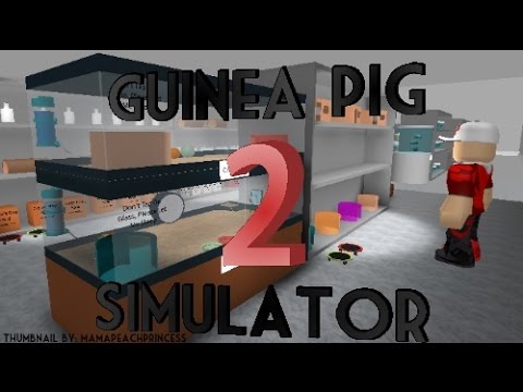 ROBLOX Guinea Pig Simulator 2 [[[GAMEPLAY]]] - YouTube