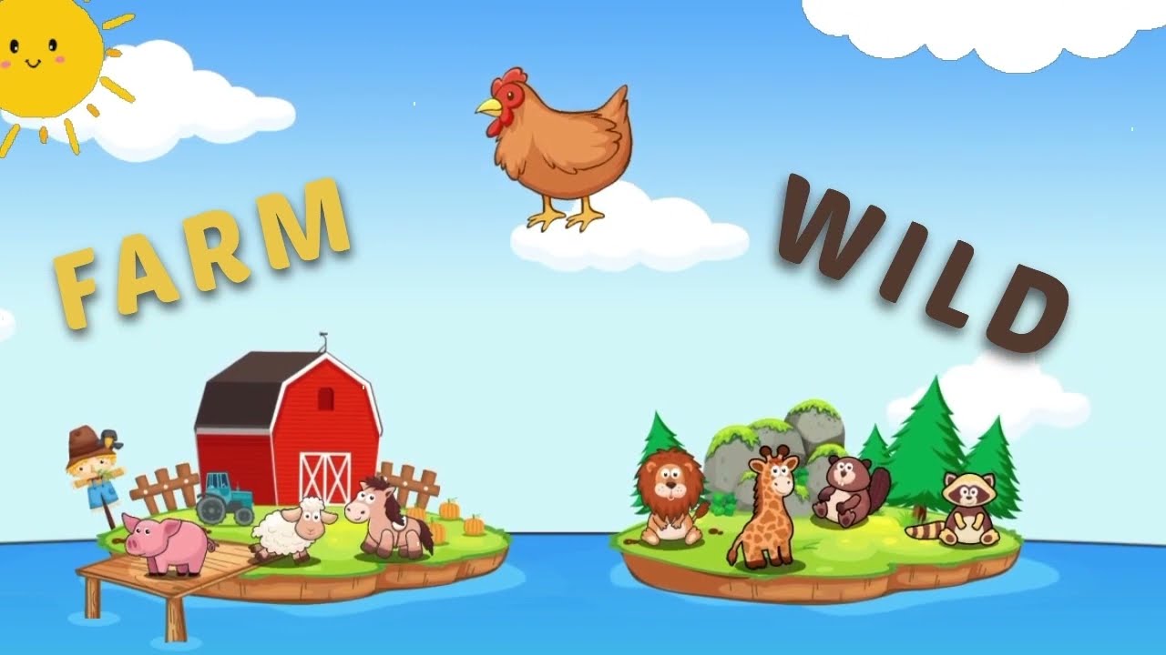Pookie | Pet Farm and Wild Animals | Animal Video for Kids - YouTube