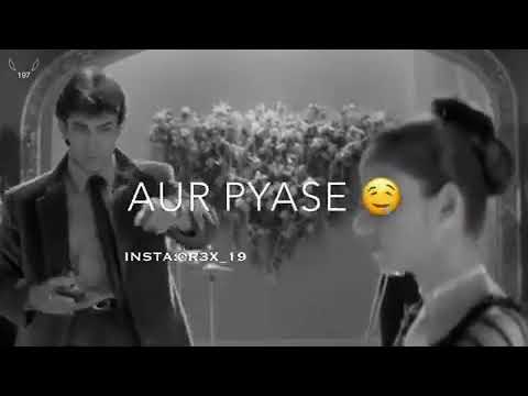 WhatsApp Status Video | Love Poetry | Tik Tok Shayari - YouTube