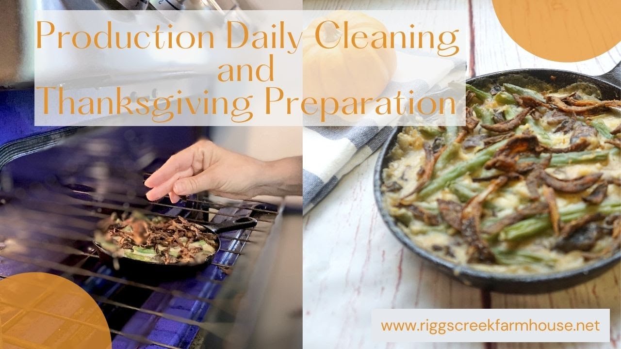 Productive Daily Cleaning and Thanksgiving Preparation - YouTube