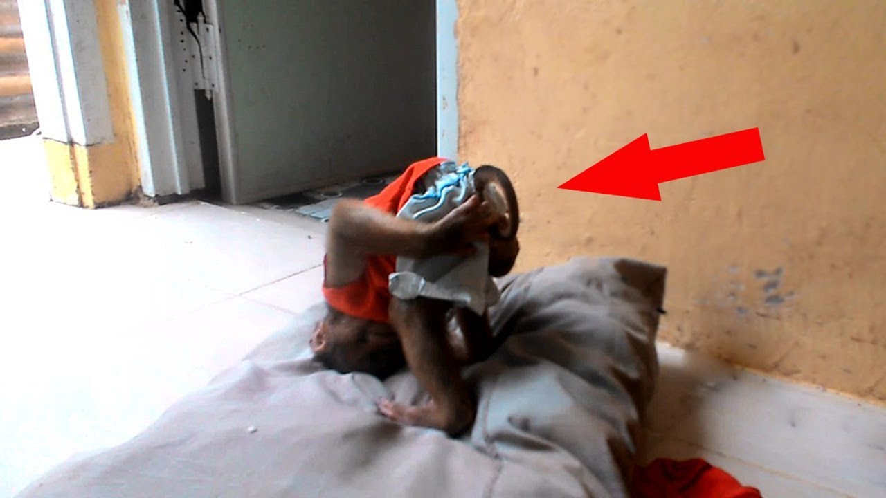 MONKEY SCRATCH ITCHY BUTT ENDLESS | FUNNY MONKEY - YouTube