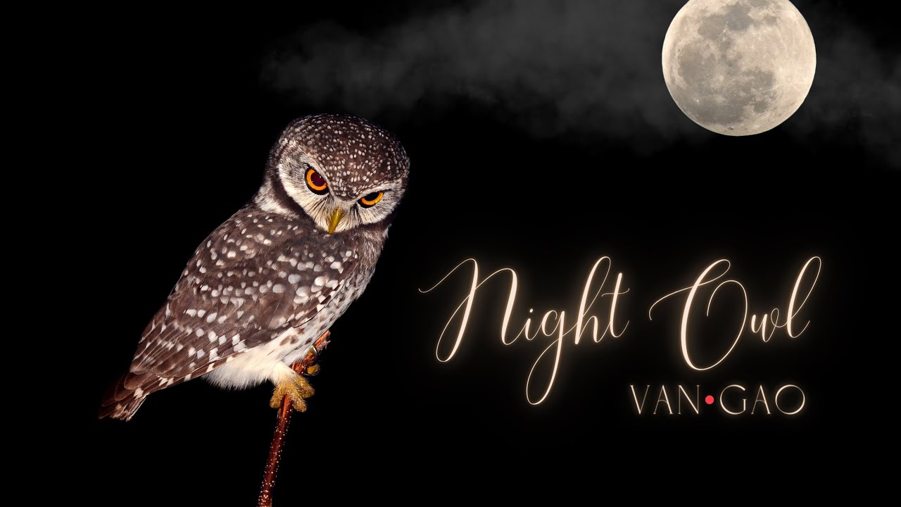 Night Owl - 1 hour Ambient Music for Relaxation, deep sleep, spa, yoga ...