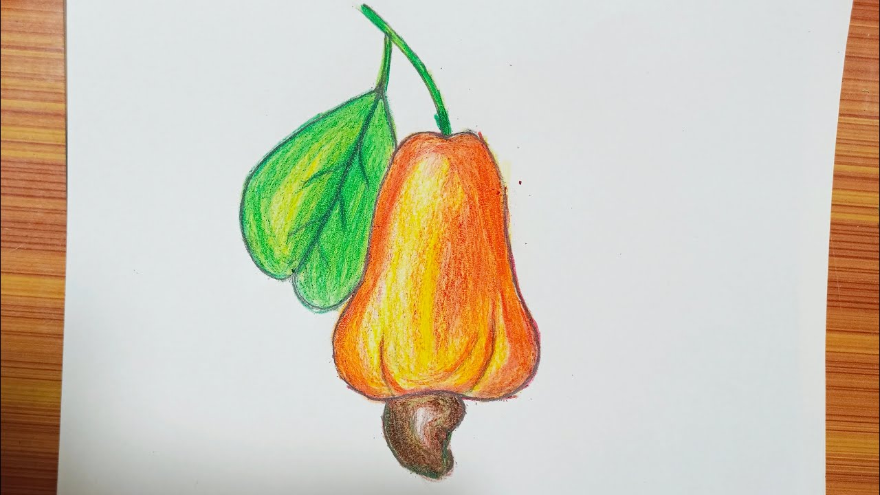 Cashew Fruits drawing for beginners // draw cashew fruit - YouTube