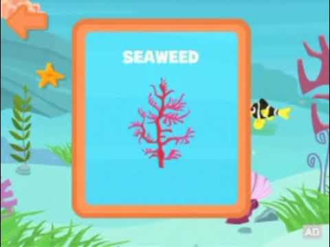 Sat, May 20, 2023 of Disney Pixar's Finding Nemo: Reef Builder in ...
