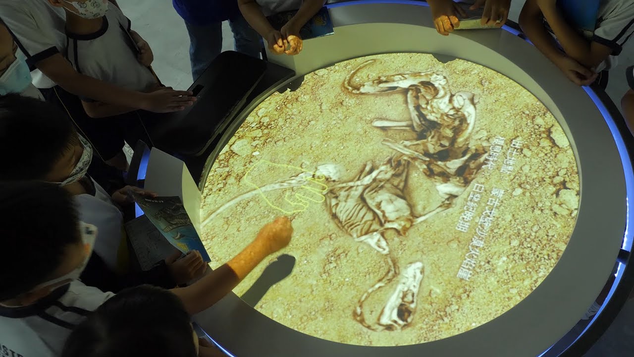 Case Study - Dinosaur Interactive Game for Hong Kong Science Museum ...
