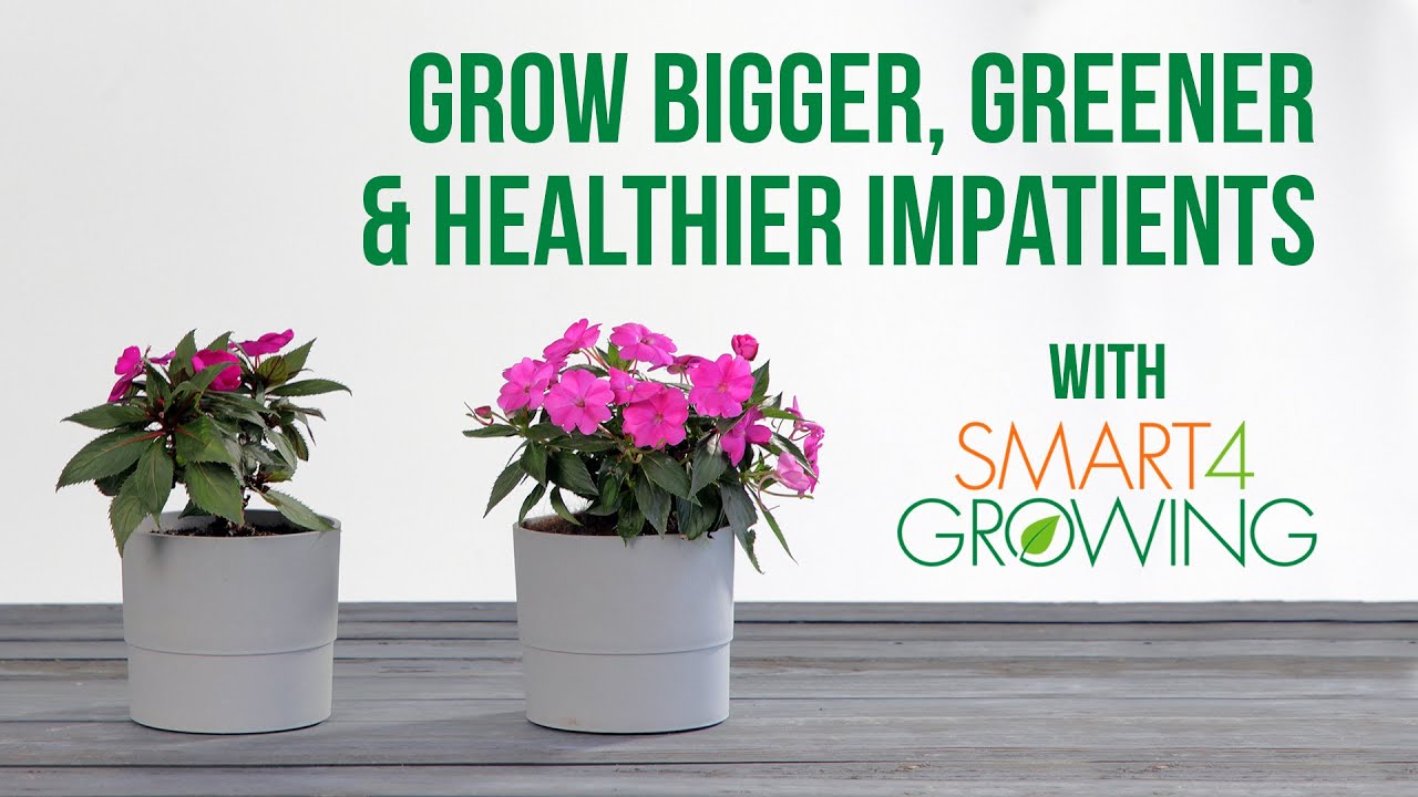 Revolutionize Your Home Gardening with Smart4Growing BioMat: Faster ...