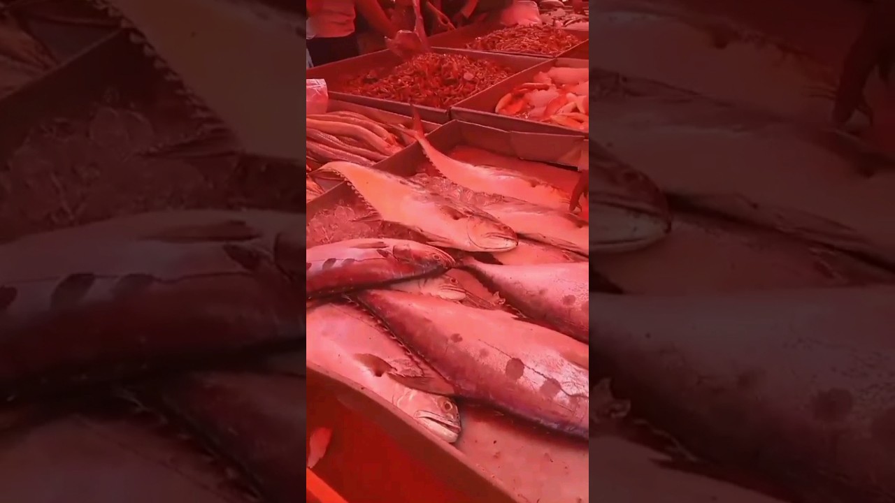 𝗚𝗮𝗻𝗲𝘀𝗵 𝗣𝗲𝘁𝗵 𝗙𝗶𝘀𝗵 𝗠𝗮𝗿𝗸𝗲𝘁🐟🐠 - YouTube