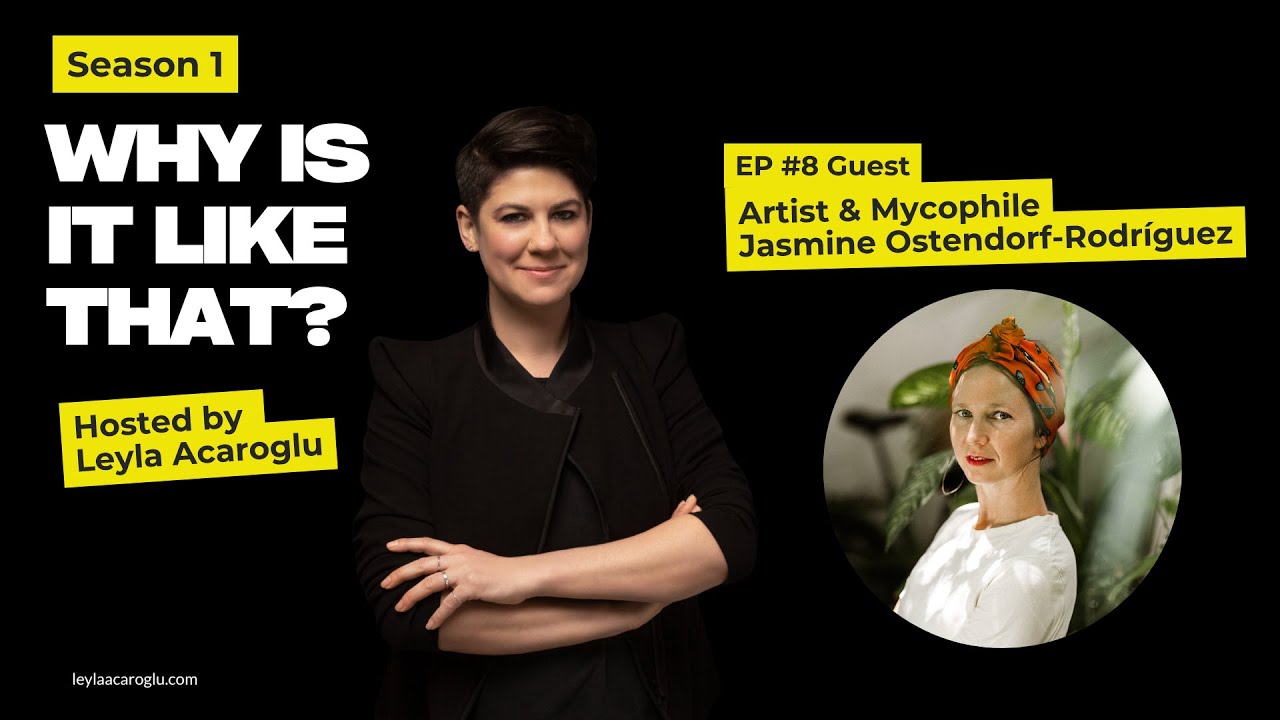 WHY IS IT LIKE THAT What’s the Deal With Mushrooms and Death? With ...