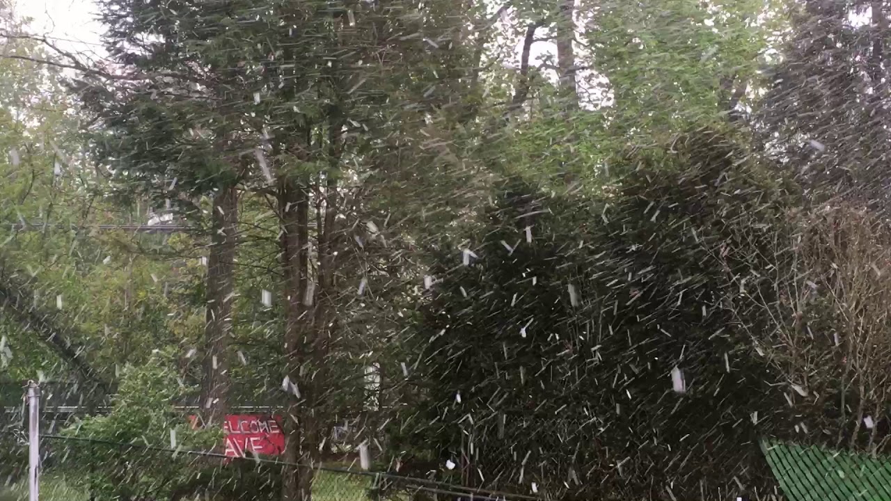 Snowing May 9 2020 about 6 PM on Long Island - YouTube