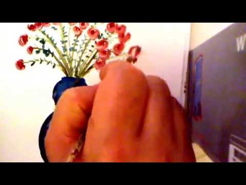 ΤΡΙΑΝΤΑΦΥΛΛΑ - ΖΩΓΡΑΦΙΚΗ - ΑΠΟΣΤΟΛΟΣ ΑΣΚΟΤΥΡΗΣ - YouTube