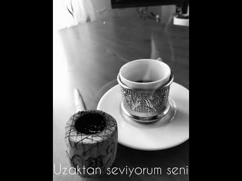 Cemal Süreya I UZAKTAN SEVİYORUM SENİ (Emin Gezgin)