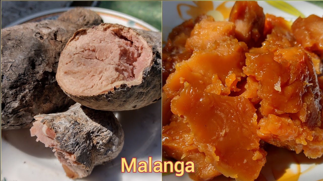 Tres maneras de preparar la MALANGA.(En dulce, atol y en ceniza) - YouTube
