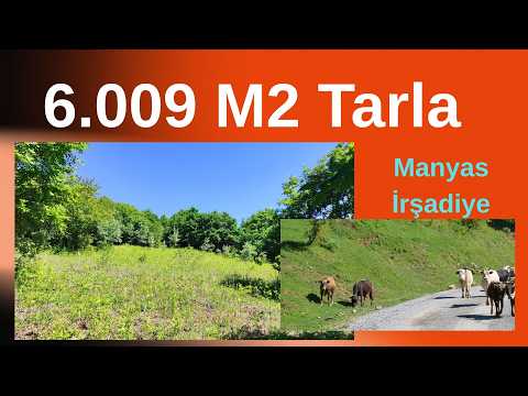 x Keşif  Arazi 6.009 M2 Tarla. Balıkesir Manyas İrşadiye 550.000 TL