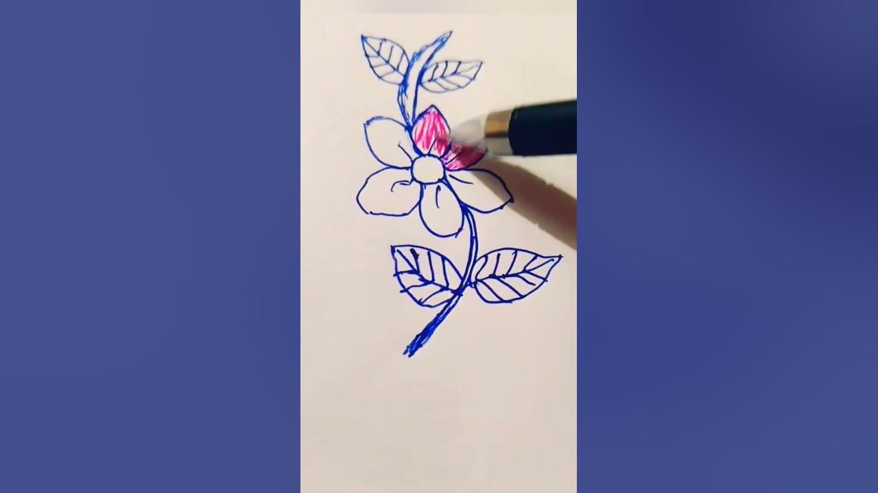 O Flowers Darwing Youtubeshorts Ashortaday Art Youtube
