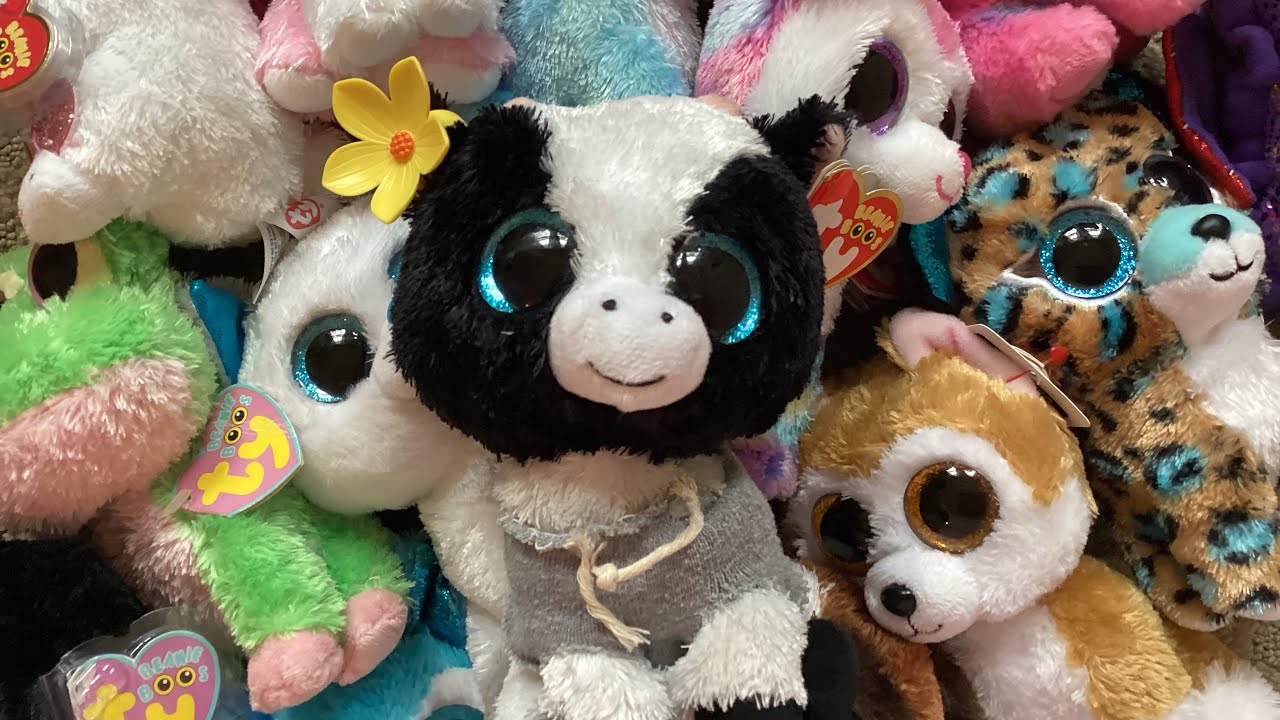 My Full Beanie Boo Collection! (100+) - YouTube