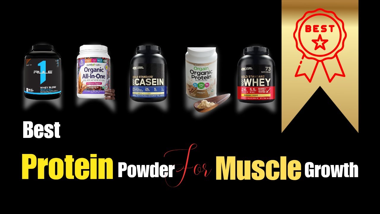 Best protein powder for muscle building||Best protein powder||Mr Fit ...
