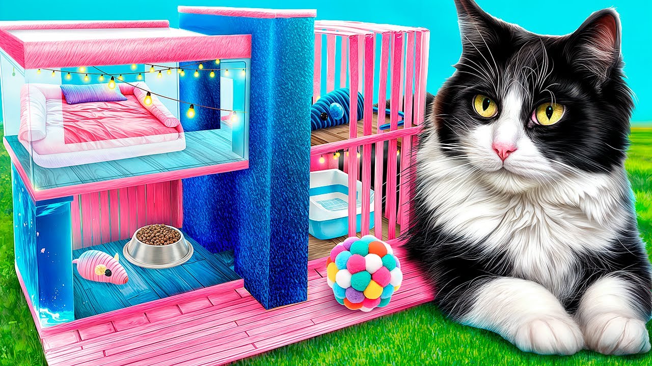 I Built a DREAM CAT HOUSE! How Take Care of Your Pet! - YouTube