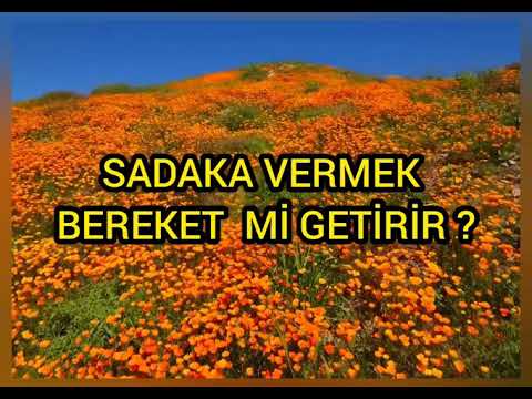 sadaka vermek Bereket mi getirir(2)
