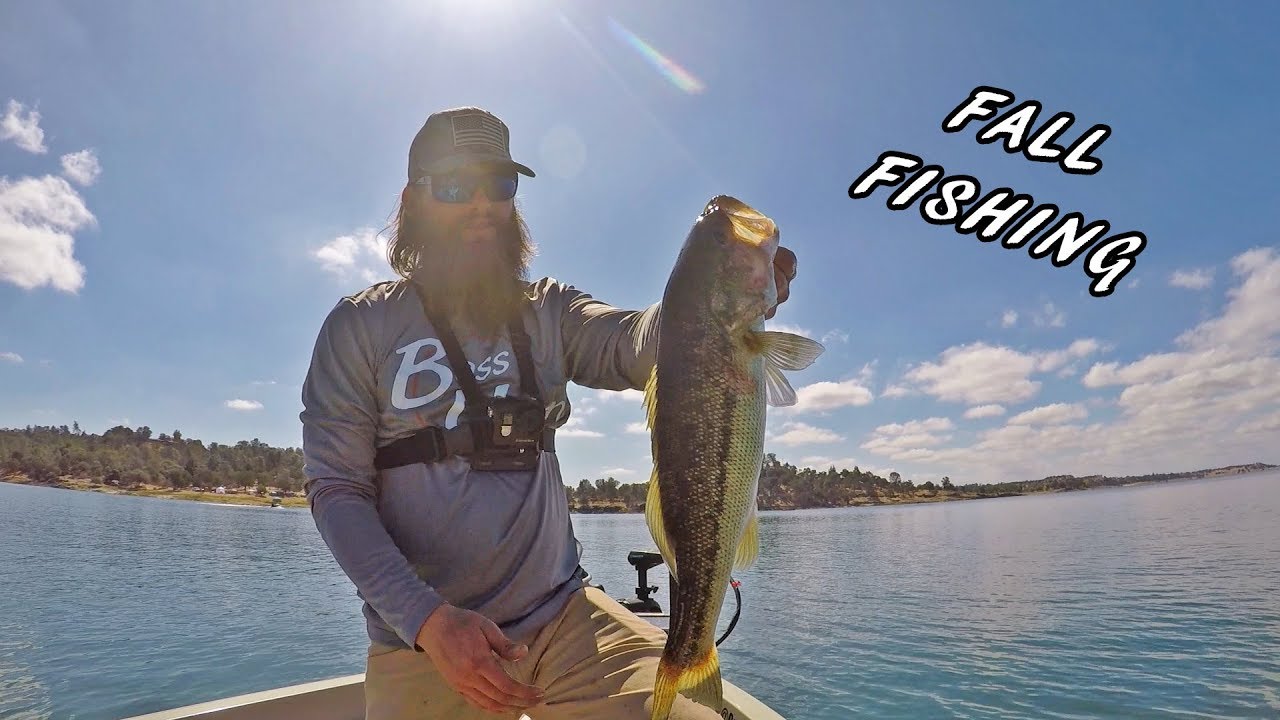 Fall Transition BASS FISHING | Lake Camanche - YouTube