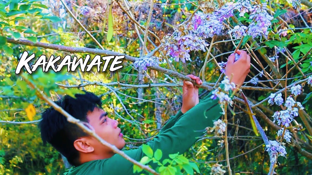 KAKAWATE | MADRE DE CACAO turn into delicious meal | simpleng buhay sa ...