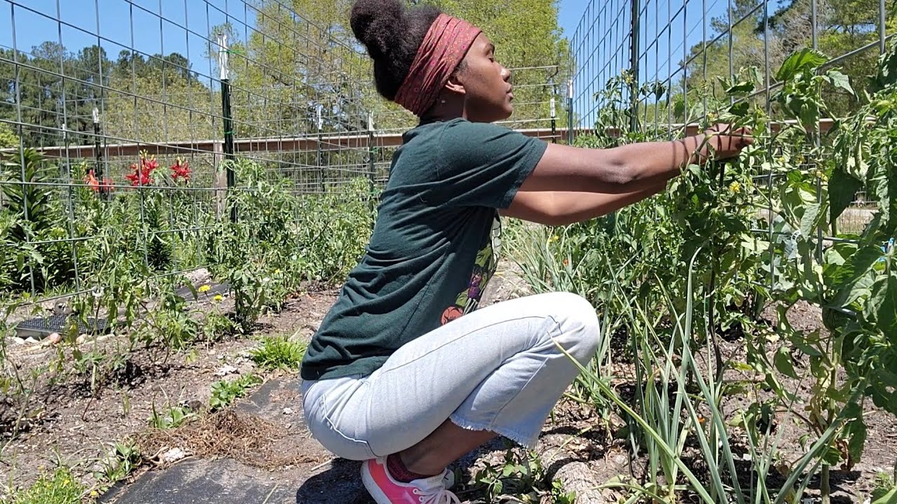 The Never Ending Tasks Of Garden Maintenance - YouTube