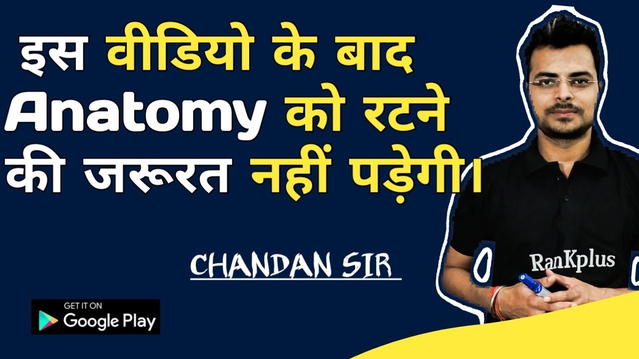 Human Anatomy In Hindi Human Anatomy And Physiology In Hindi YouTube human-anatomy-in-hindi-human-anatomy-and-physiology-in-hindi-youtube