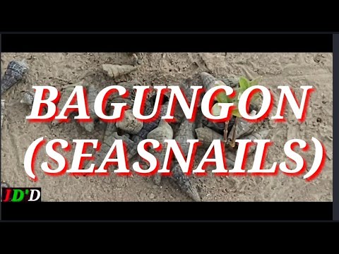 BAGUNGON - SEASNAILS - YouTube