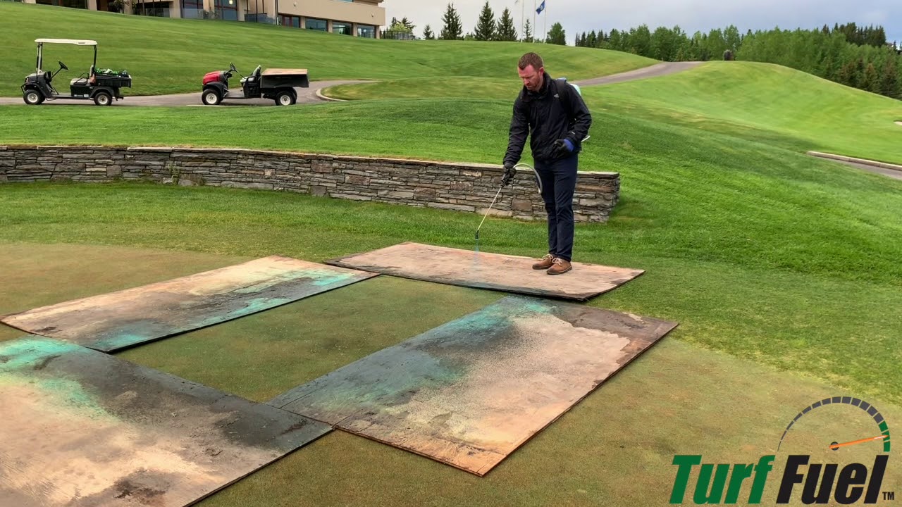 Turf Fuel New Product Trial - YouTube