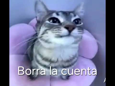 Borra la cuenta - YouTube
