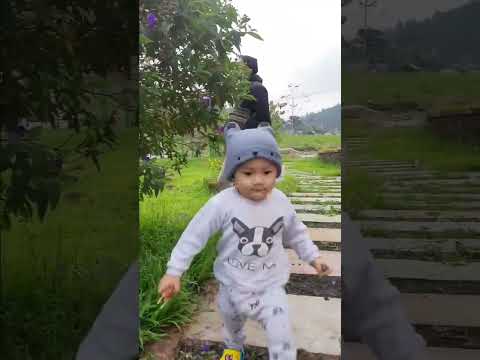 Main di kebun bunga, padang rumput, senang sekali   #shorts