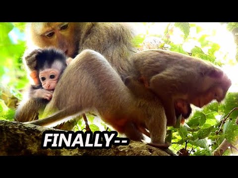 FINALLY ACT_ _SAVE ANYA...!! Great April dO act help baby so fast | Anya happy get...