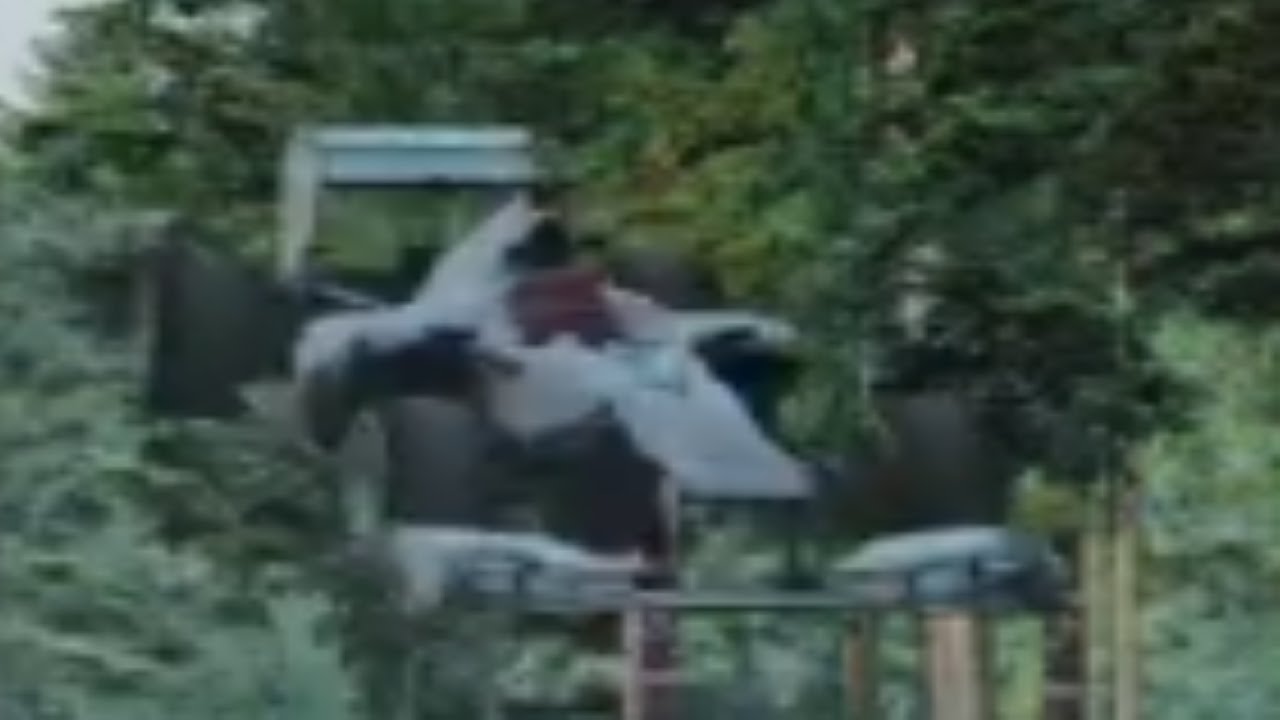 why is that there - YouTube