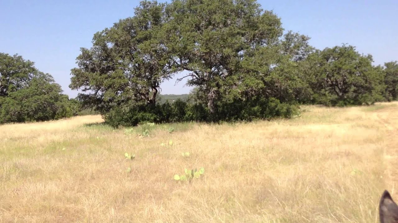 Summer ride through Reimer's Ranch Park 2014 - YouTube