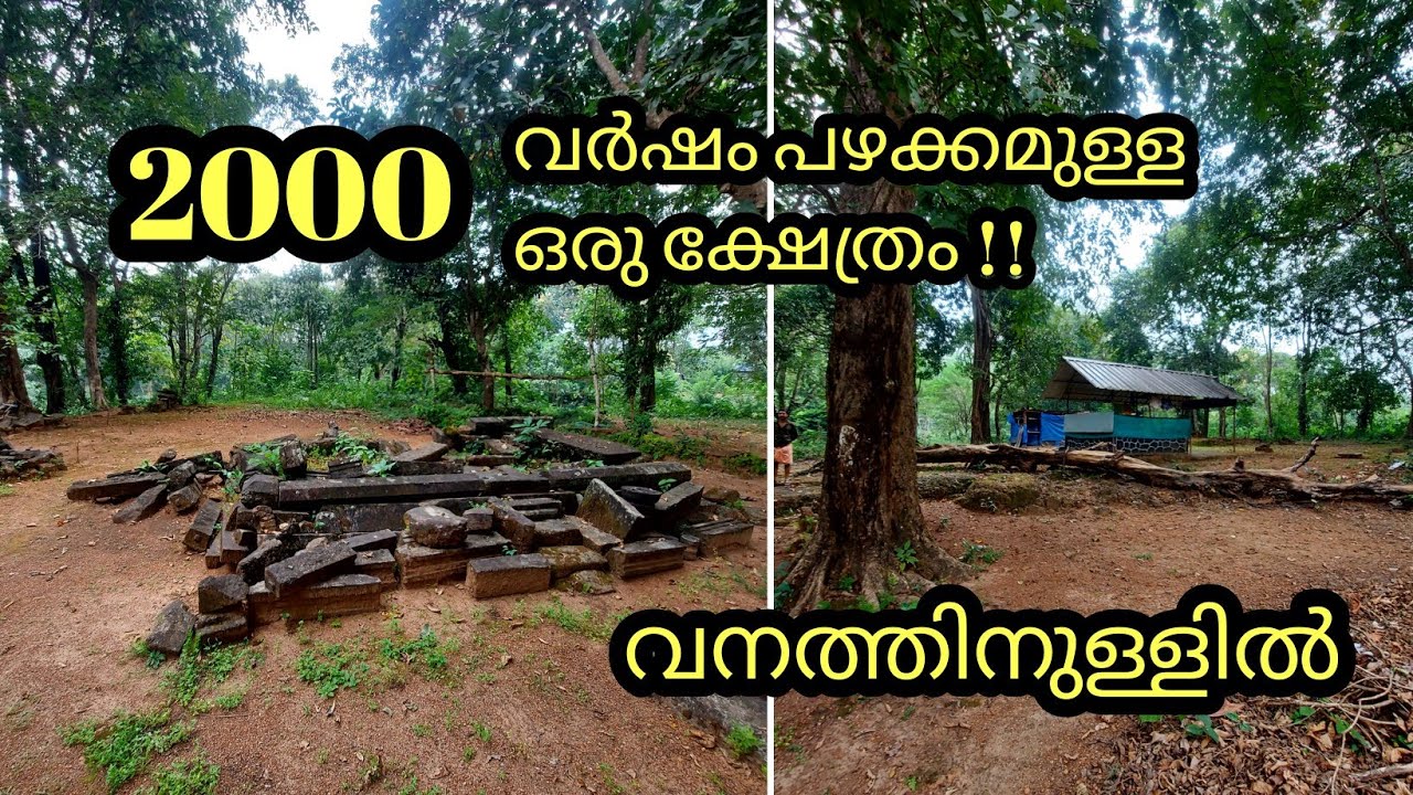 കോട്ടപ്പാറ ശ്രീ ധർമ്മശാസ്താ ക്ഷേത്രം #Kottappara Dharmasastha temple # ...