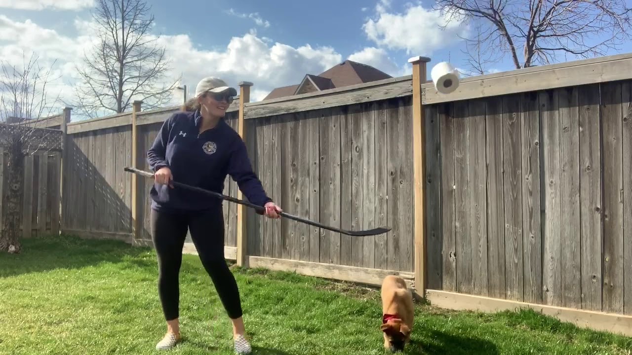 Health & Active Living Challenge Day 28 - YouTube