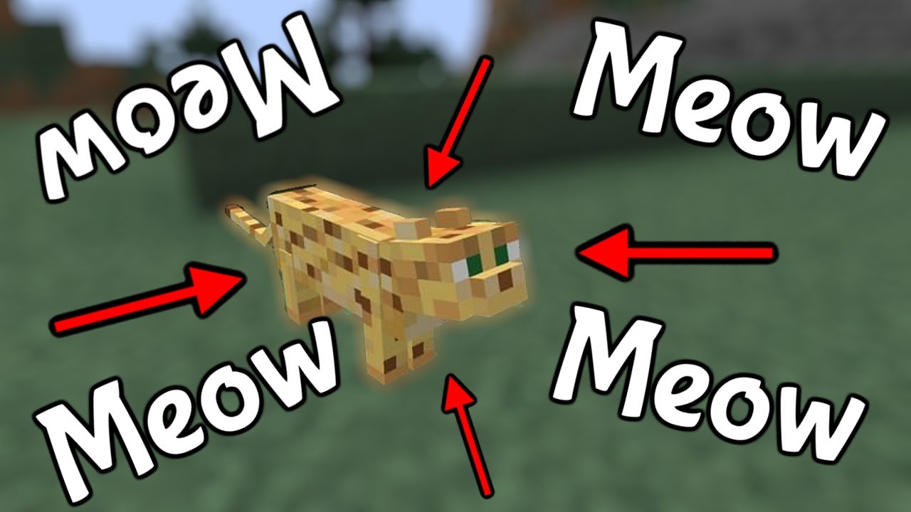 Minecraft, but it's ALL meows... - YouTube