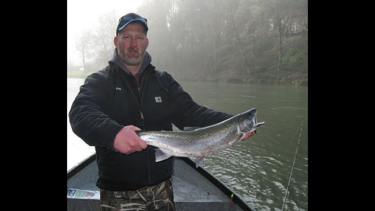 Fishing Guide Kalama Winter Run Steelhead-1/7/2015 - YouTube