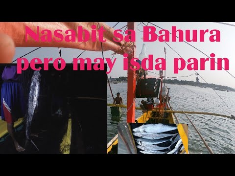 Kahit nasabit tayo sa bahura may isda parin kabuhay - YouTube