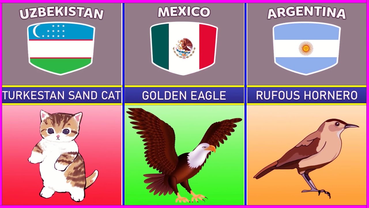 Comparison of probability : National animal of different countries ...