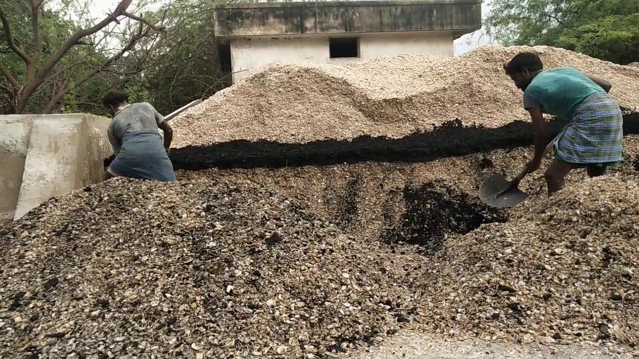 Shell sunnambu. Lime sunnambu. Kilinjal Sunnambu supplier - YouTube