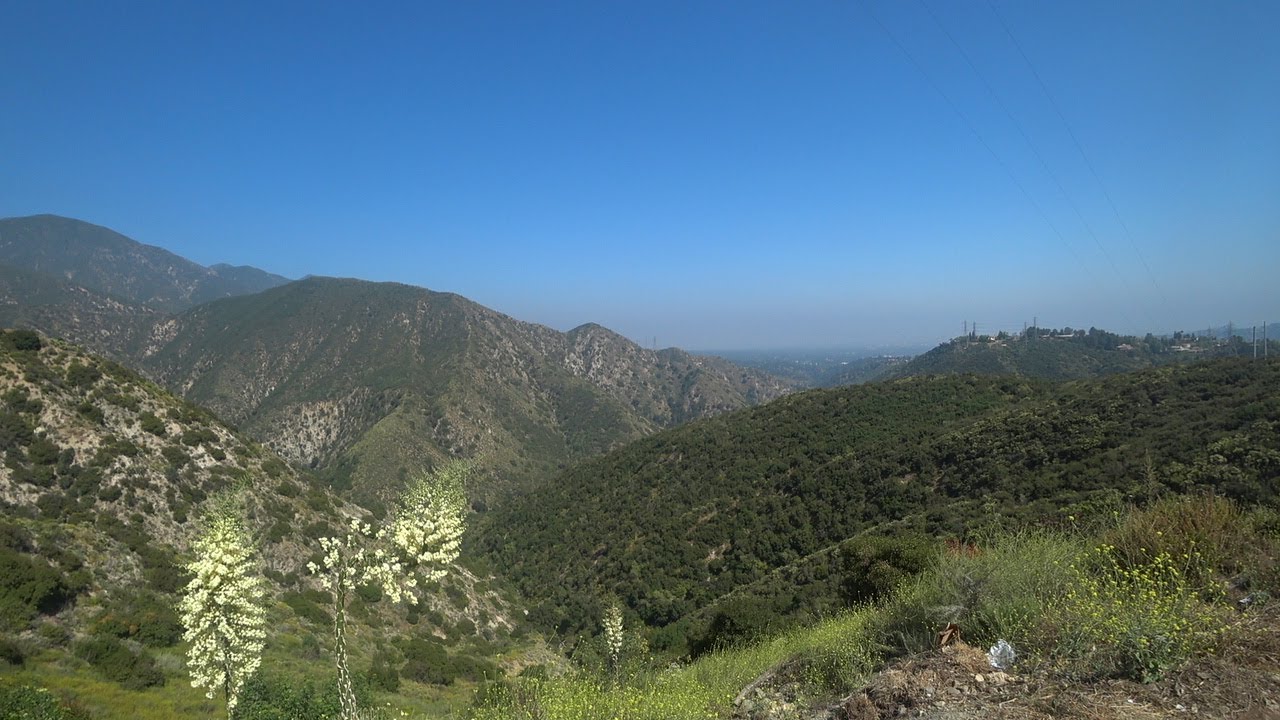 Лос - Анджелес. Поездка в Национальный Заповедник Анджелес. Angeles ...