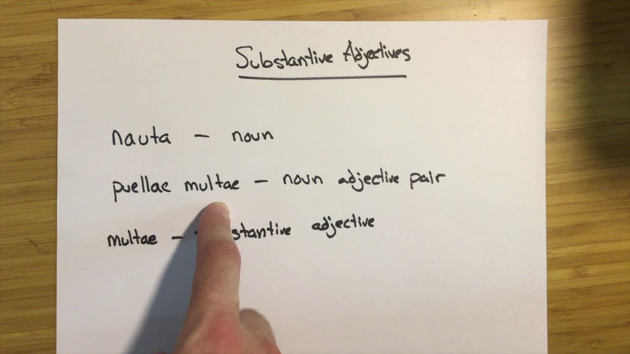 Latin - Substantive Adjectives - YouTube