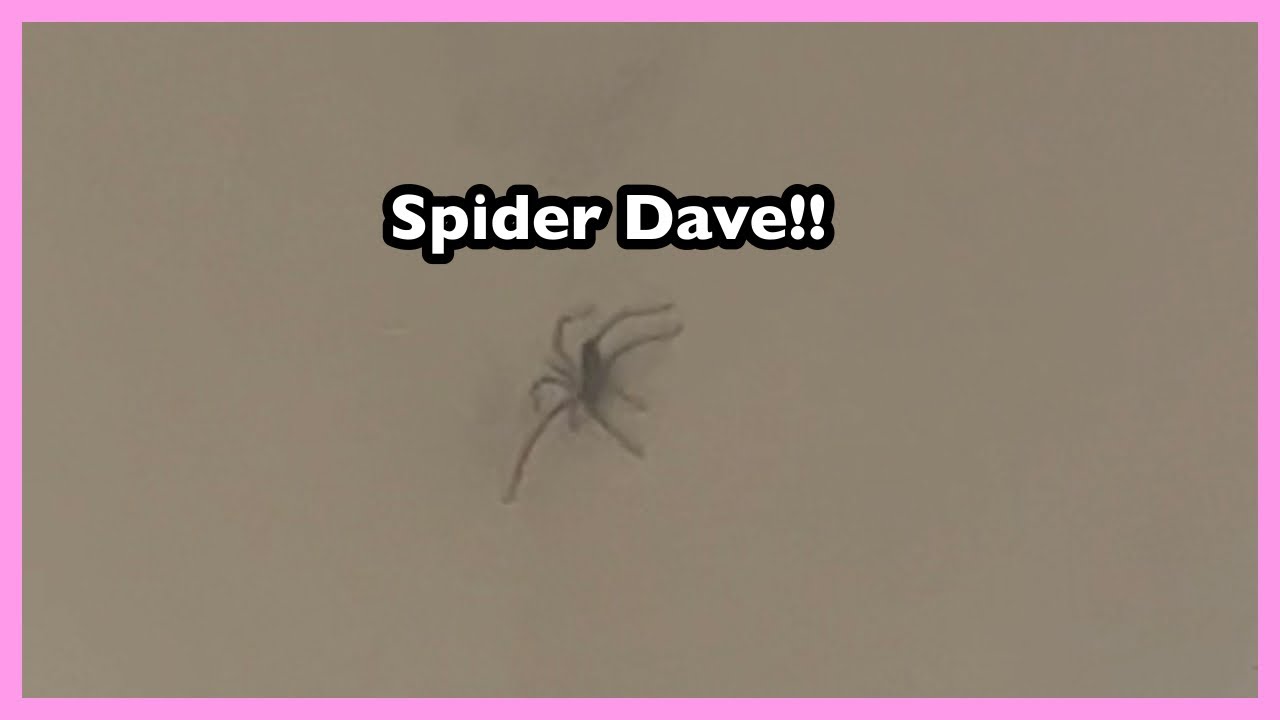 Tubbo made a song about Spider Dave #shorts - YouTube