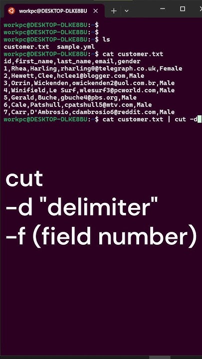 Day 15 Cut Linux Command Linux Linuxcommandline Linuxforbeginners Coding Shell Shorts