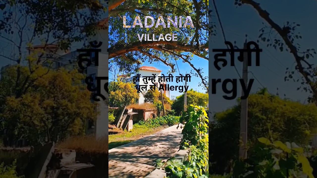 The Village II Ladania II @Gajendra Shah vlogs - YouTube